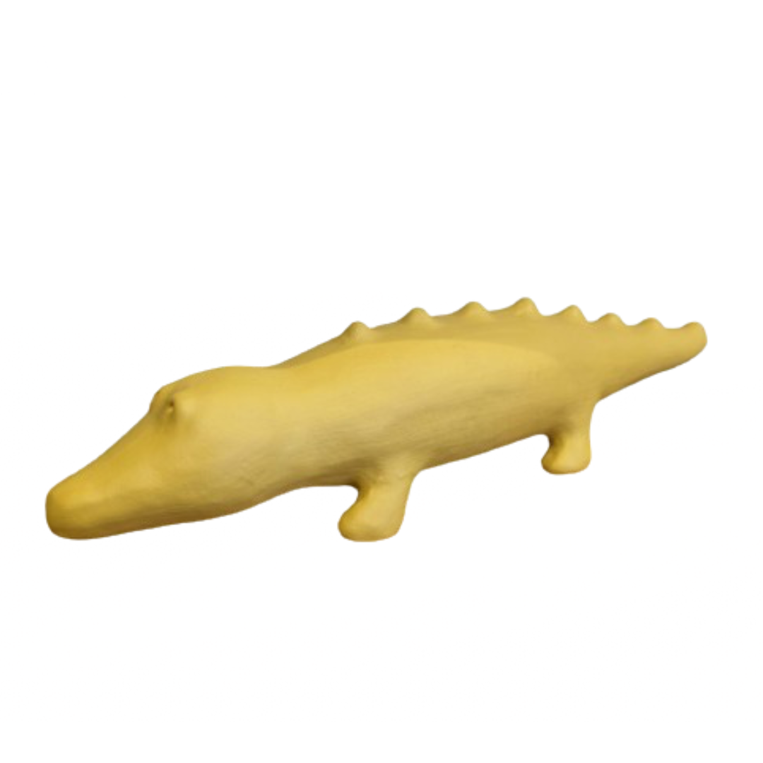 Crocodile – Object Mexico