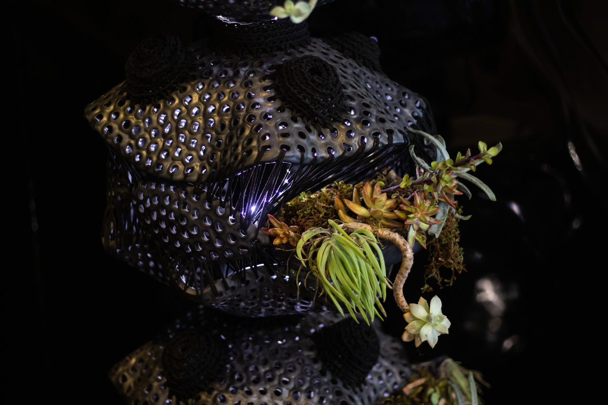 Utopia – Object Mexico